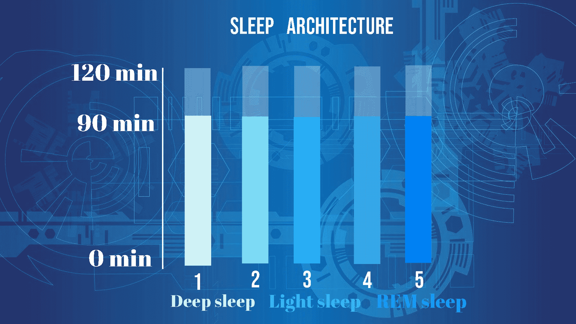 1. Sleep influences learning and memory - Automated Training